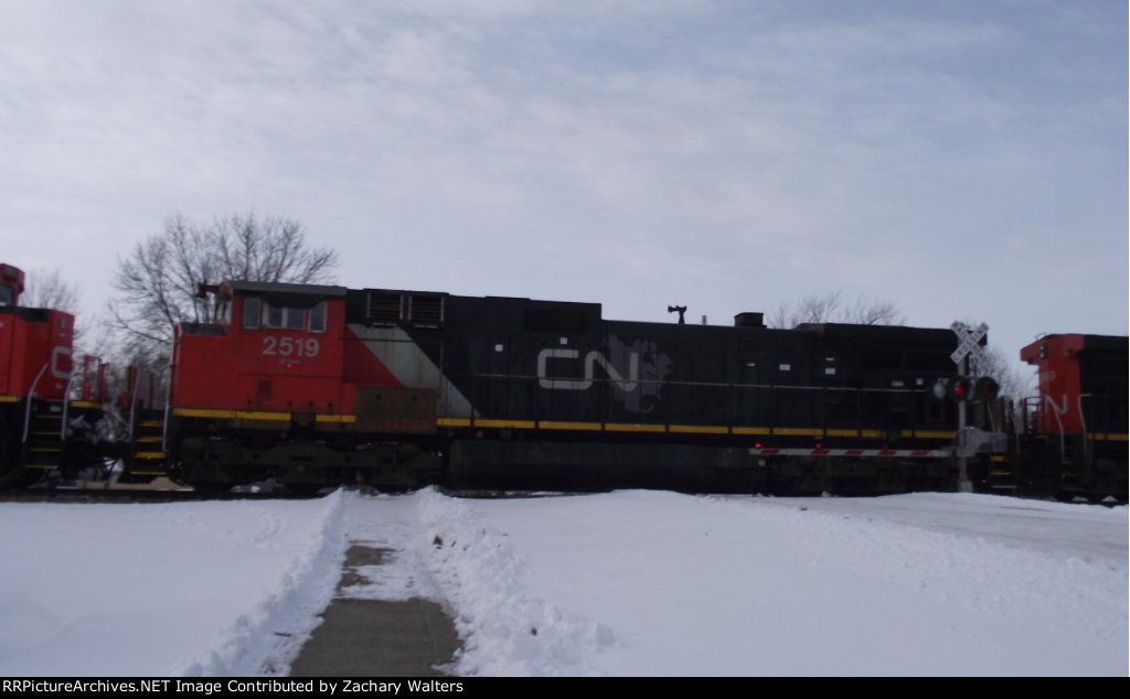 CN 2519